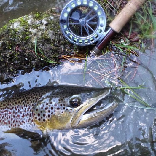 GUILLAUME DURAND - RIVIERA FLY FISHING - Association Régionale des ...